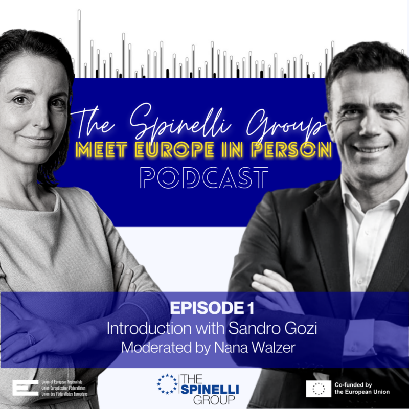 Starts "The Spinelli Group - Meet Europe in Person", the audio and ...